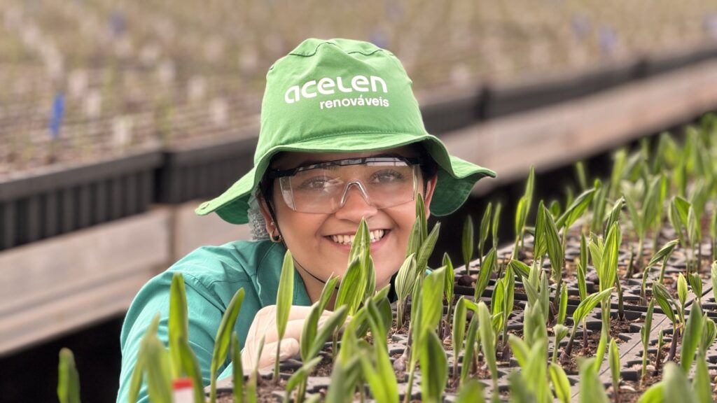 Acelen Renováveis